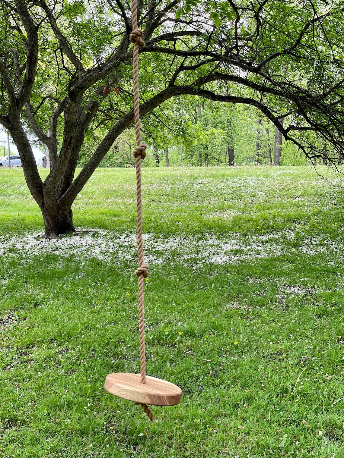 Round Tree Swing W/knotted Rope and Hanging Hardware - Etsy