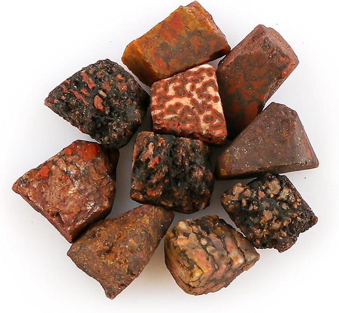 10 Pieces Natural Dinosaur Bone Raw Crystals Gemstone Jewelry Making 8 ...