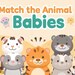 Baby Animal Matching Worksheet for Kids | Preschool Learning Activity ...