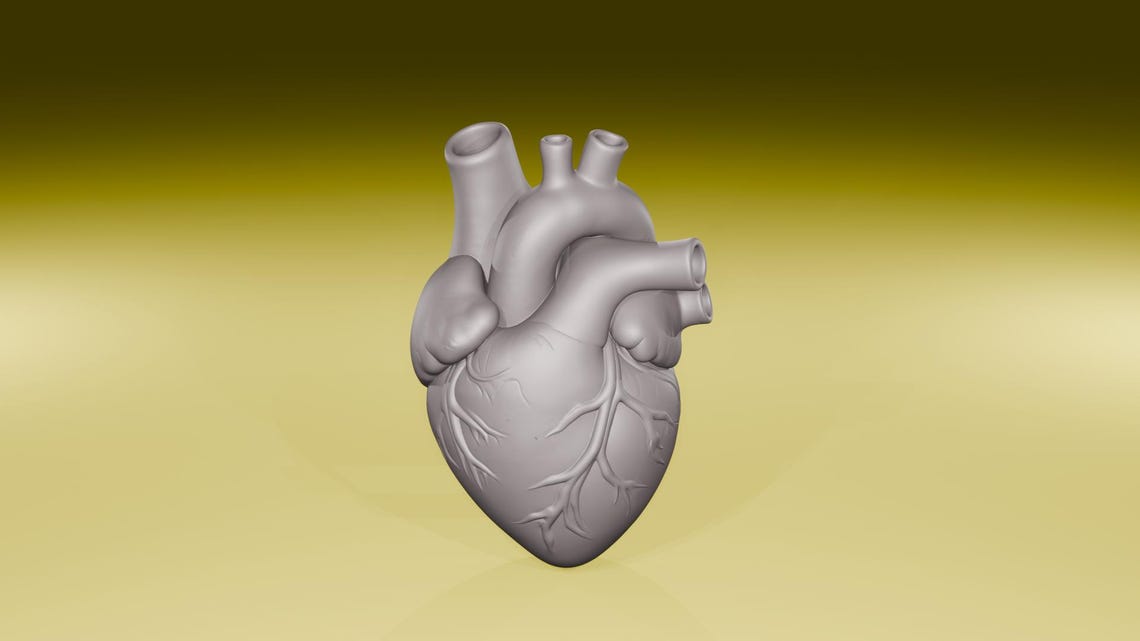Realistic Human Heart – Anatomical 3D Model | STL File for 3D Printing ...