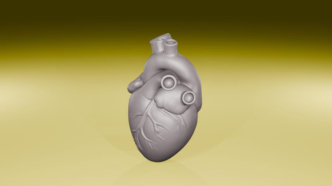 Realistic Human Heart – Anatomical 3D Model | STL File for 3D Printing ...