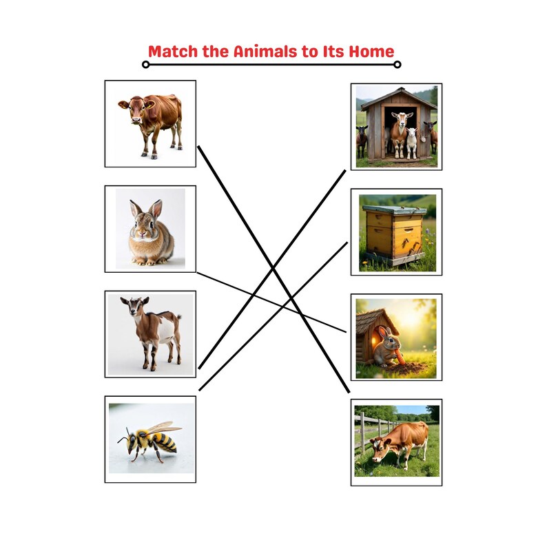 Animal Homes Matching Activity | Farm Animal Worksheets | Preschool ...