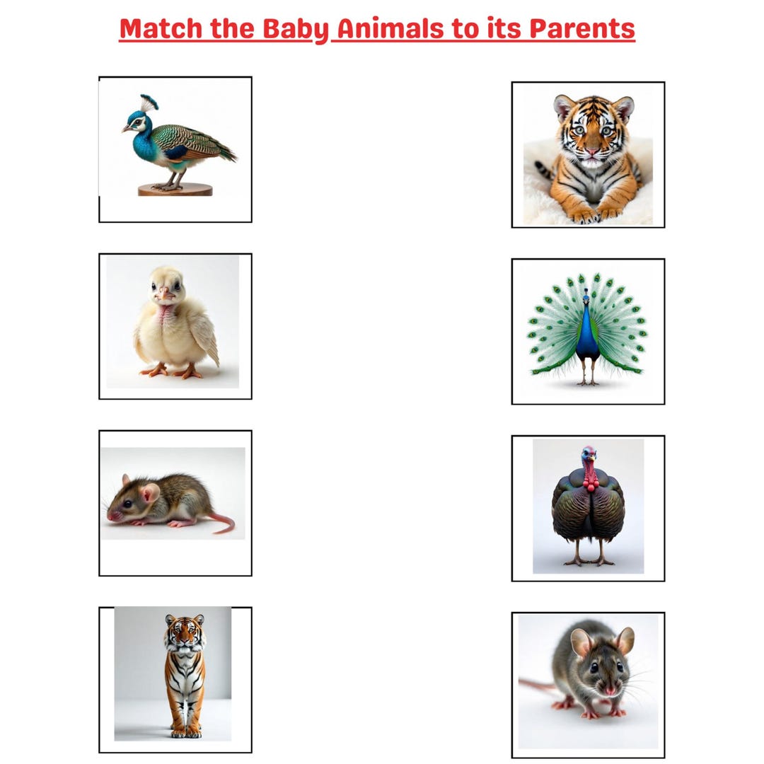 Match the Baby Animals to Its Parents Worksheet | Animal Families ...
