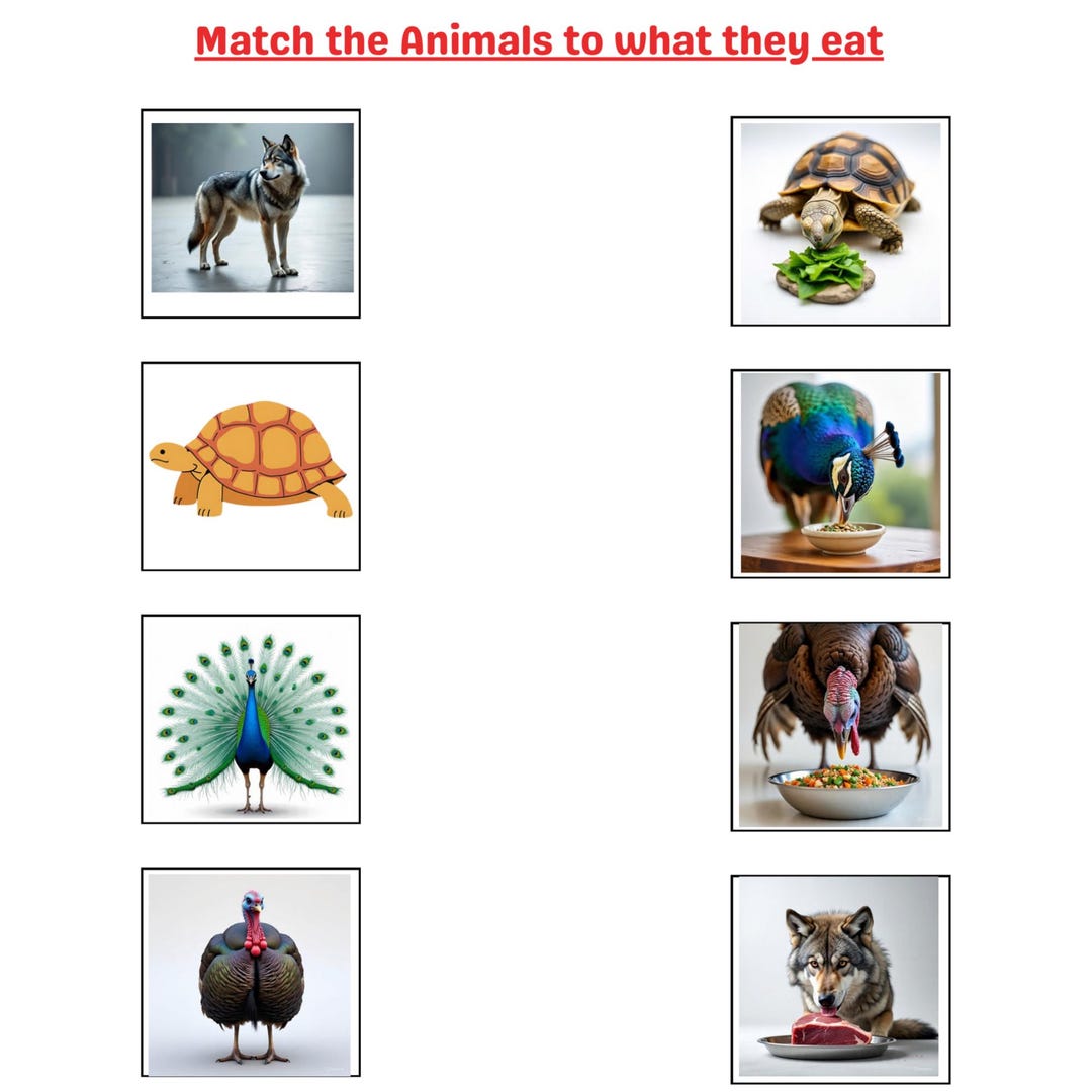 Match the Animals to Their Food Worksheet | Animal Diet Activity for ...