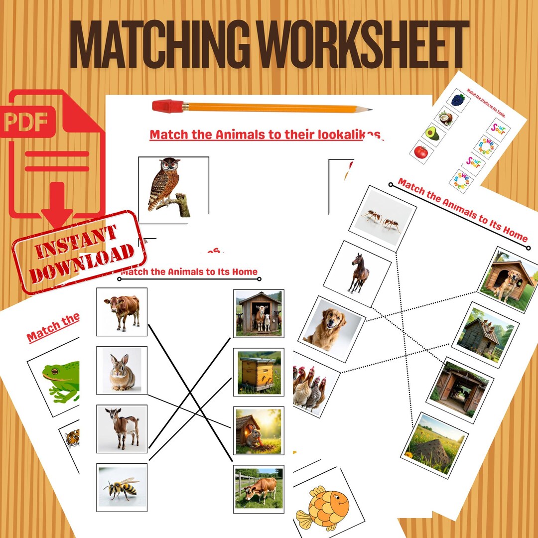 Match the Animals to Their Lookalikes Worksheet | Preschool Matching ...