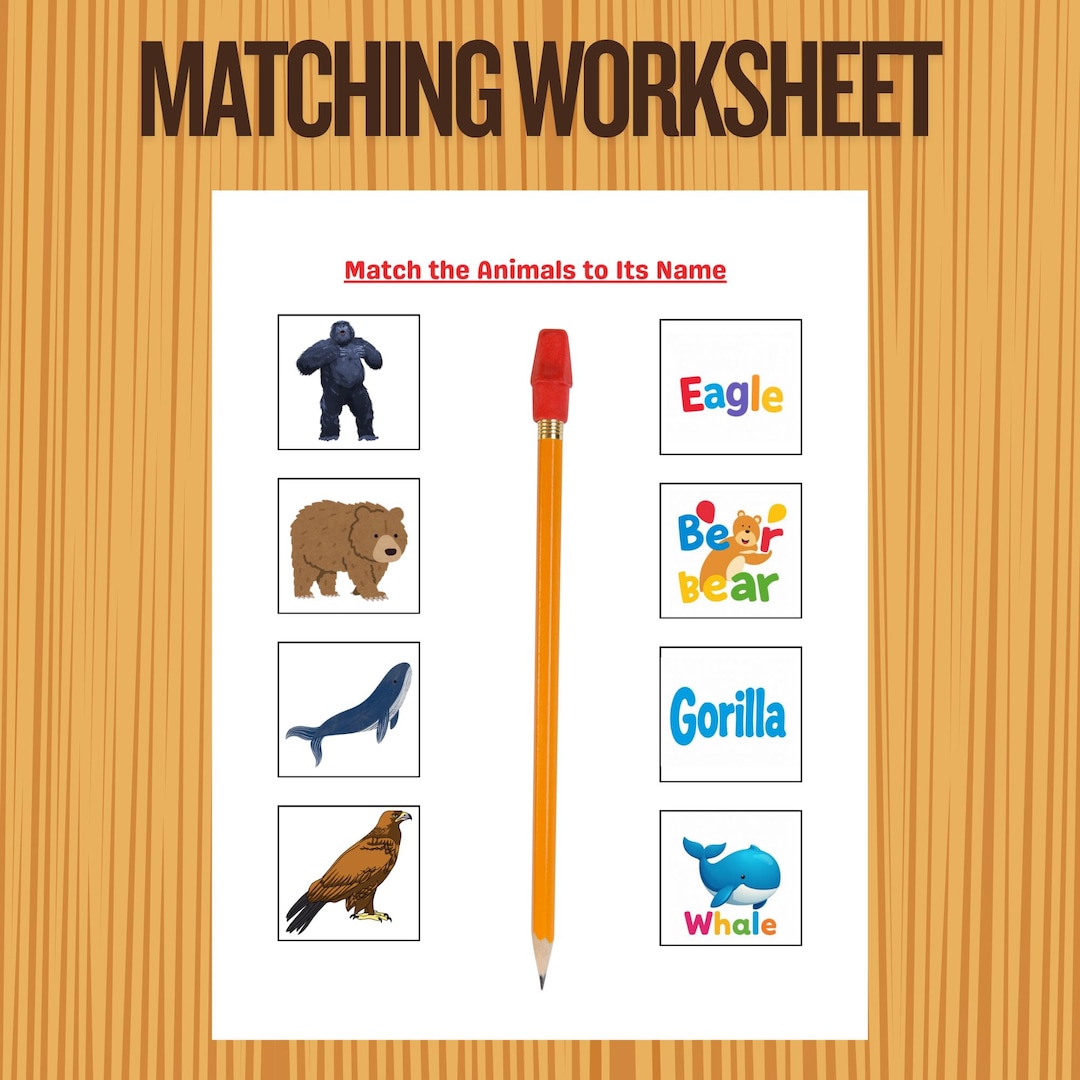 Animal Names Matching Activity | Set of 5 Printable Worksheets ...