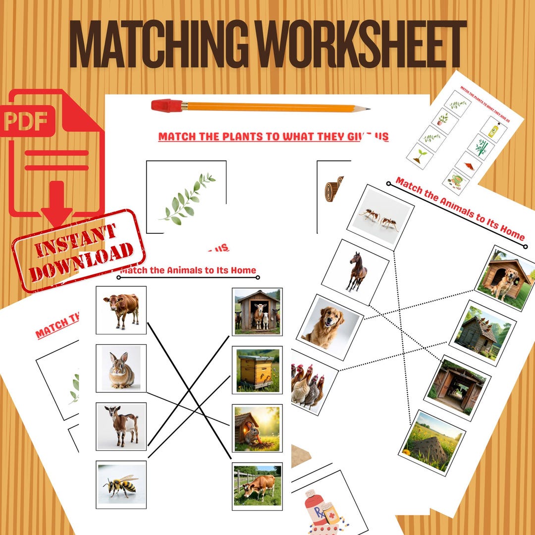 Plant Matching Worksheet for Kids | Nature Learning Activity | What ...