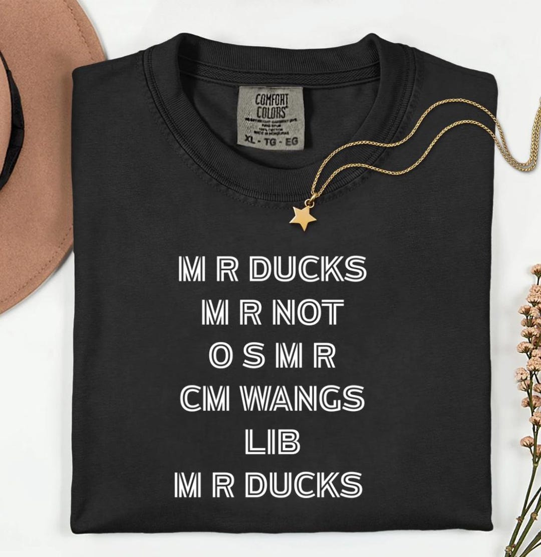 MR Ducks Meme T-shirt – Quirky Duck Saying for Fans, MR Not OSMRCM ...