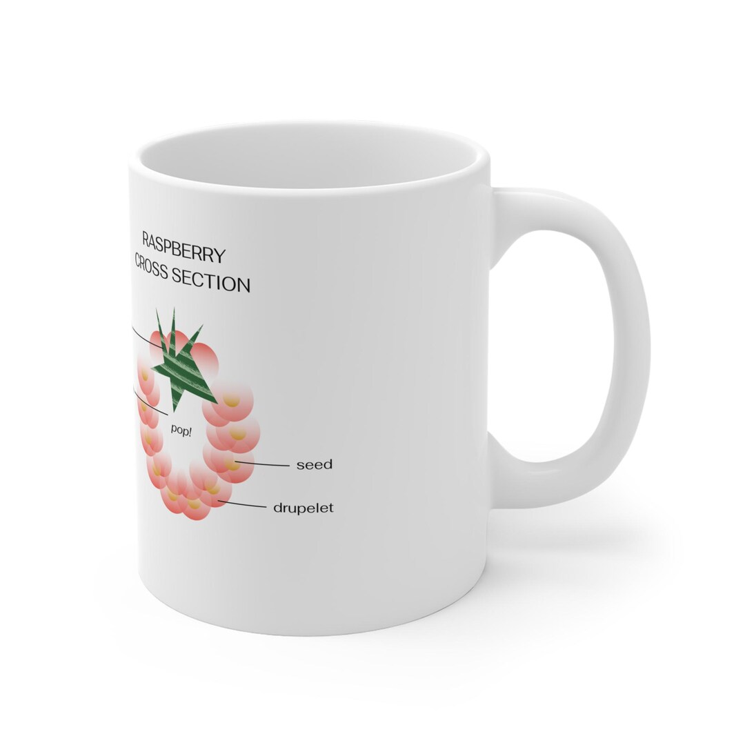 Fruit Mug, Raspberry Science Mug, Cute Cup, Gifts for Holiday, Work ...