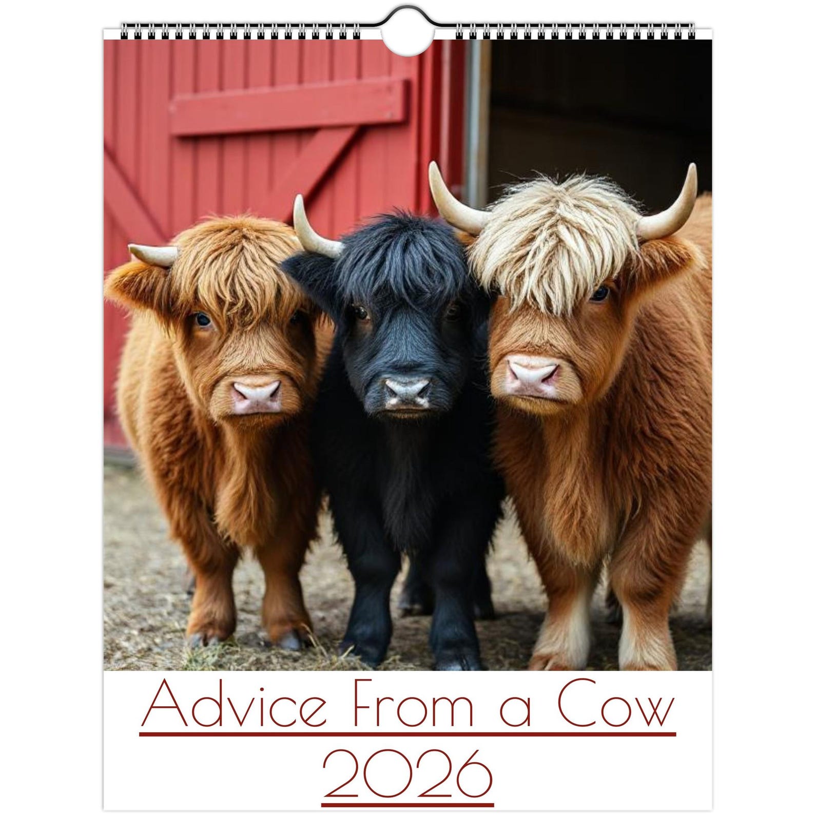 Highland Cow Wall Calendar - Whimsical Farmhouse Gift - Etsy
