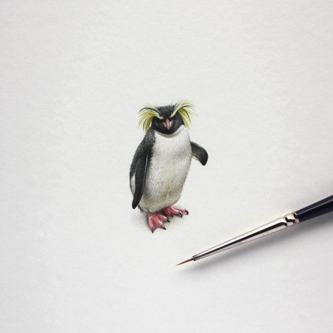 Rockhopper Penguin. Art Print From Original Watercolor Miniature ...