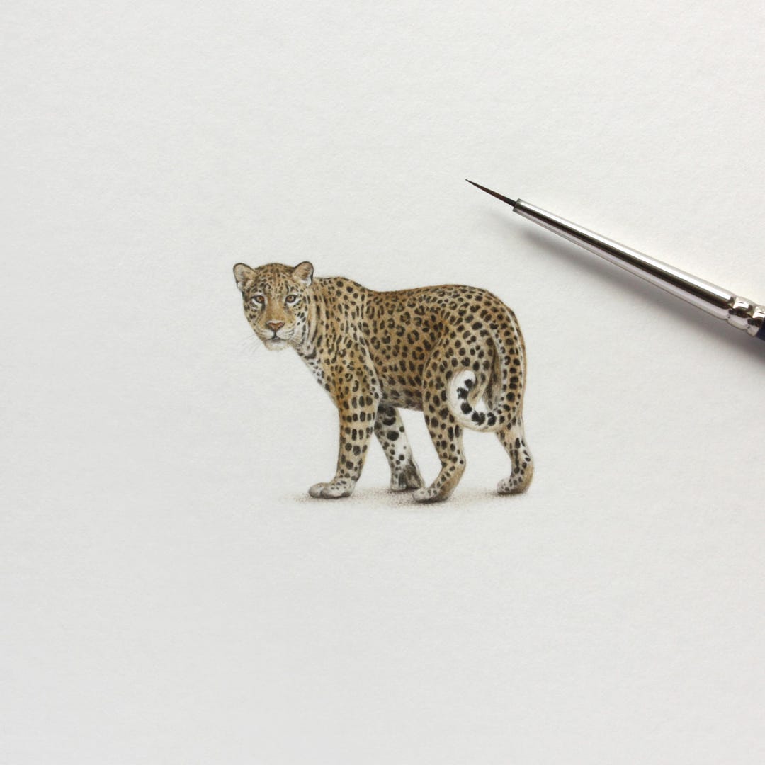 Leopard. Print From Original Watercolor Miniature Painting. Tiny Art ...