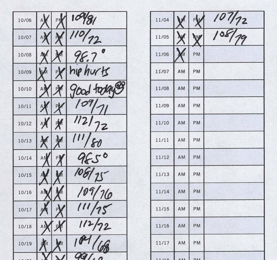 Printable AM/PM Tracker PDF - Full Year Log, 4 Pages Double-sided ...