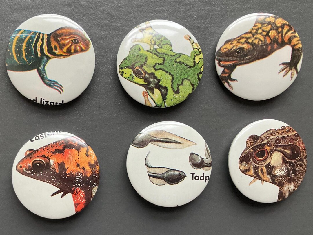 Upcycled Animal Book Pins Set of 6 With 1990s Illustrated Encyclopedia ...
