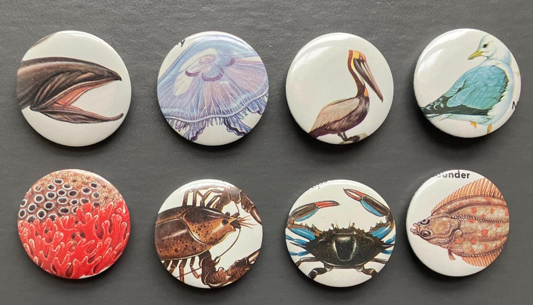 Upcycled Animal Book Pins Set of 6 With 1990s Illustrated Encyclopedia ...