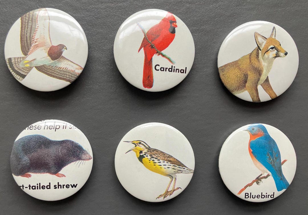 Upcycled Animal Book Pins Set of 6 With 1990s Illustrated Encyclopedia ...