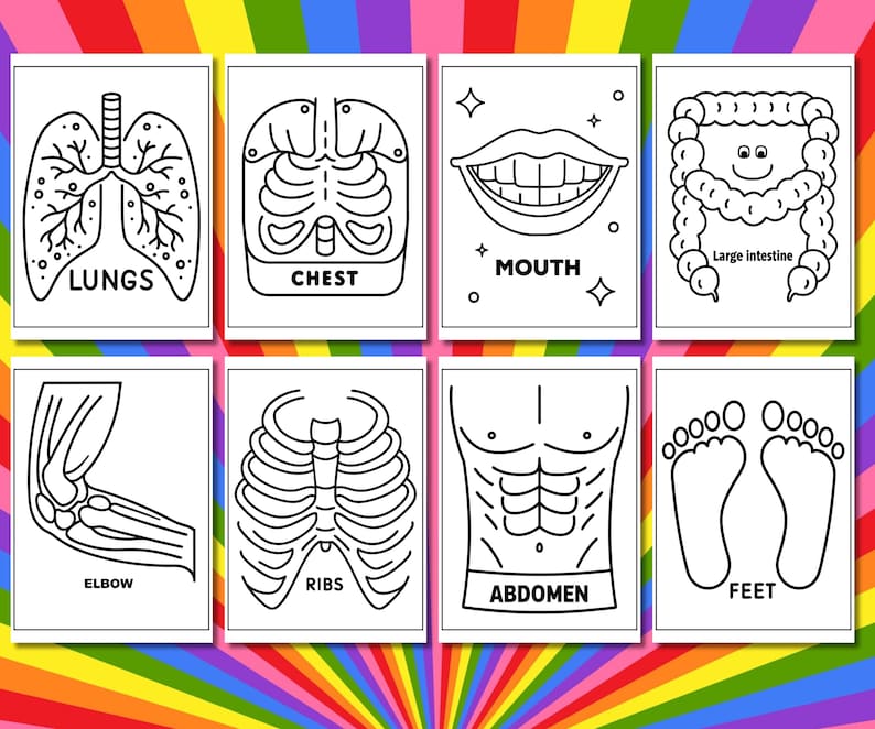 Human Body Organs Coloring Pages | Educational Anatomy Worksheets for ...
