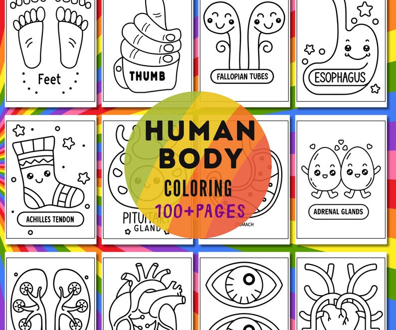 Human Body Organs Coloring Pages | Educational Anatomy Worksheets for ...