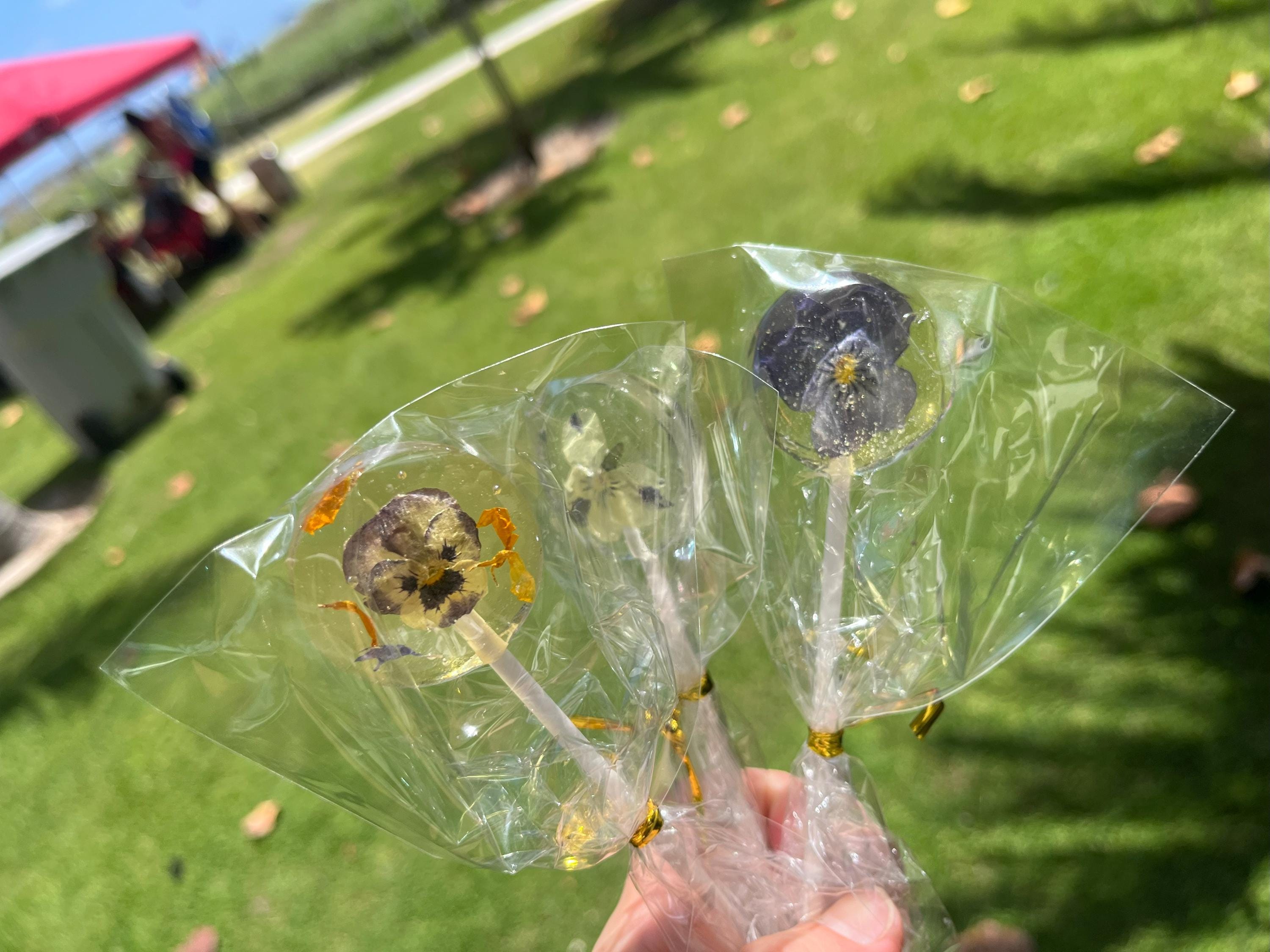 Homemade Real Flower Lollipops | Sugar-free Isomalt Candy | Edible ...