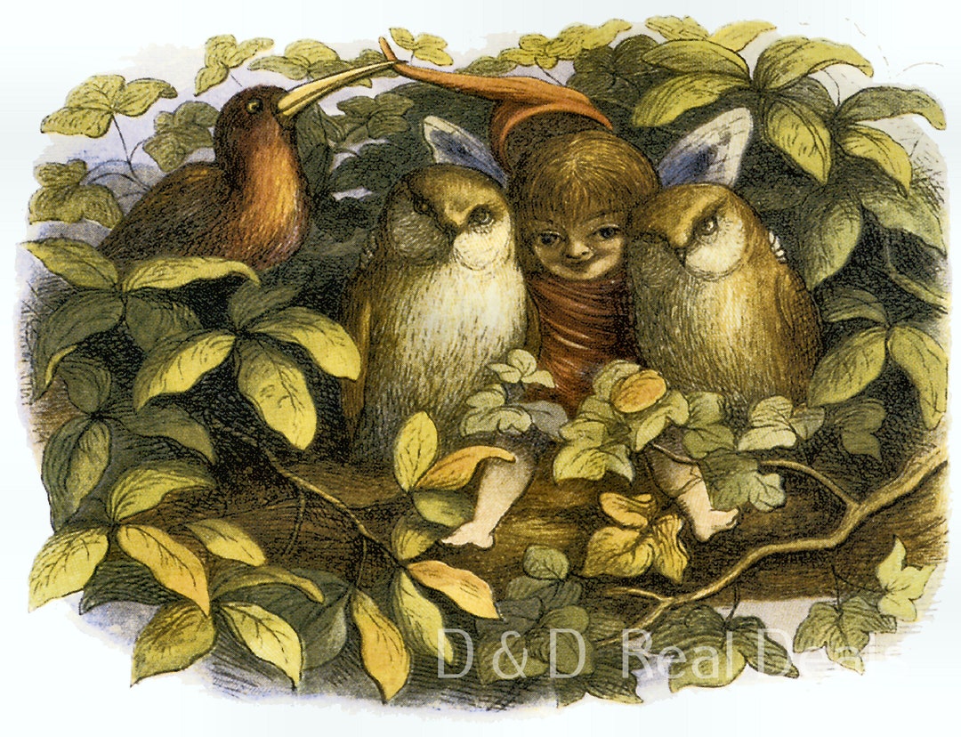 Fairy Vintage Art Print Reproduction "fairy With Owls" by Richard Doyle ...