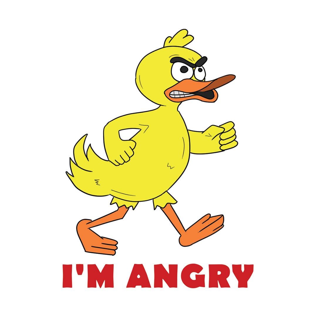 Angry Duck Sticker - Funny Laptop - Etsy