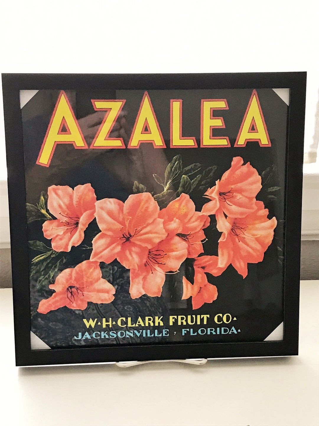 SALE Vintage Florida Orange Citrus Crate Label Print/13x13" Framed ...