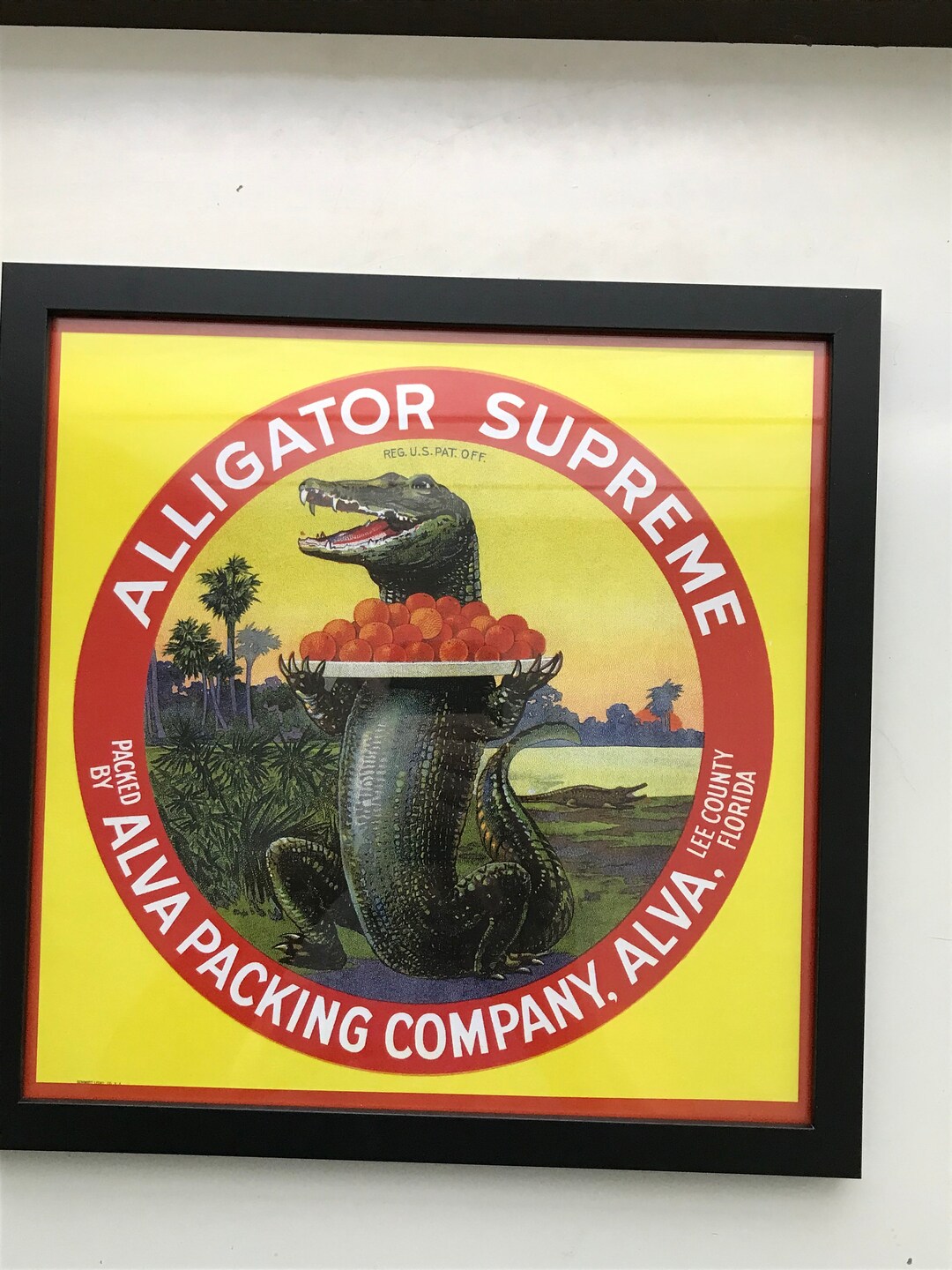 Vintage Florida Citrus Orange Crate Label Print/framed/alligator Fruit ...