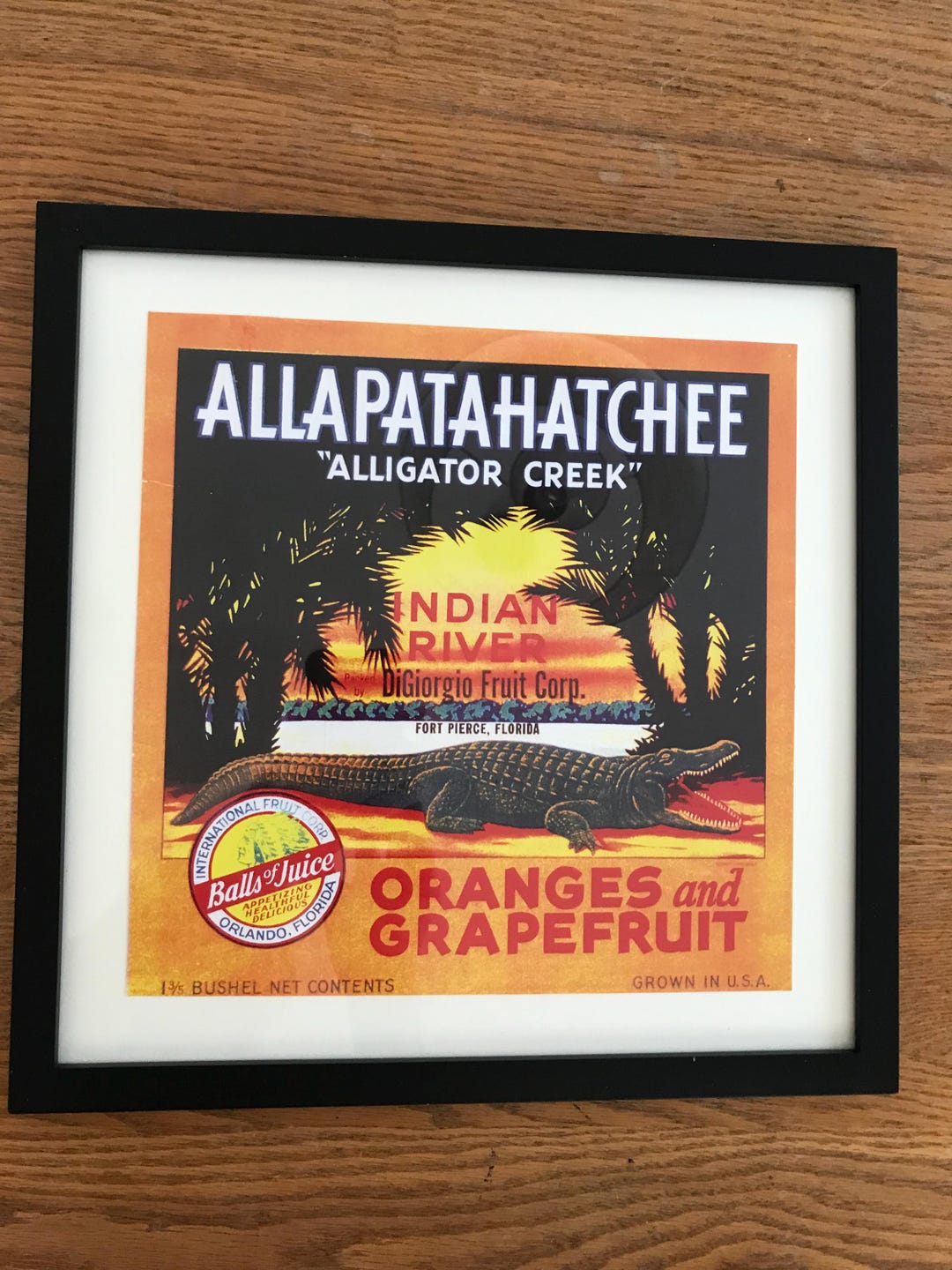 Vintage Florida Orange Crate Label Print/framed/alligator Fruit Citrus ...