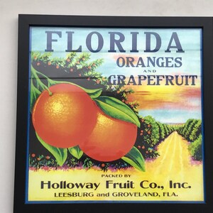 Vintage Florida Orange Crate Label Print/framed/oranges & Grapefruit ...