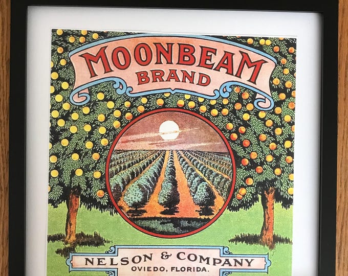 Vintage Florida Orange Crate Label Print/framed/13x13/moonbeam Brand ...