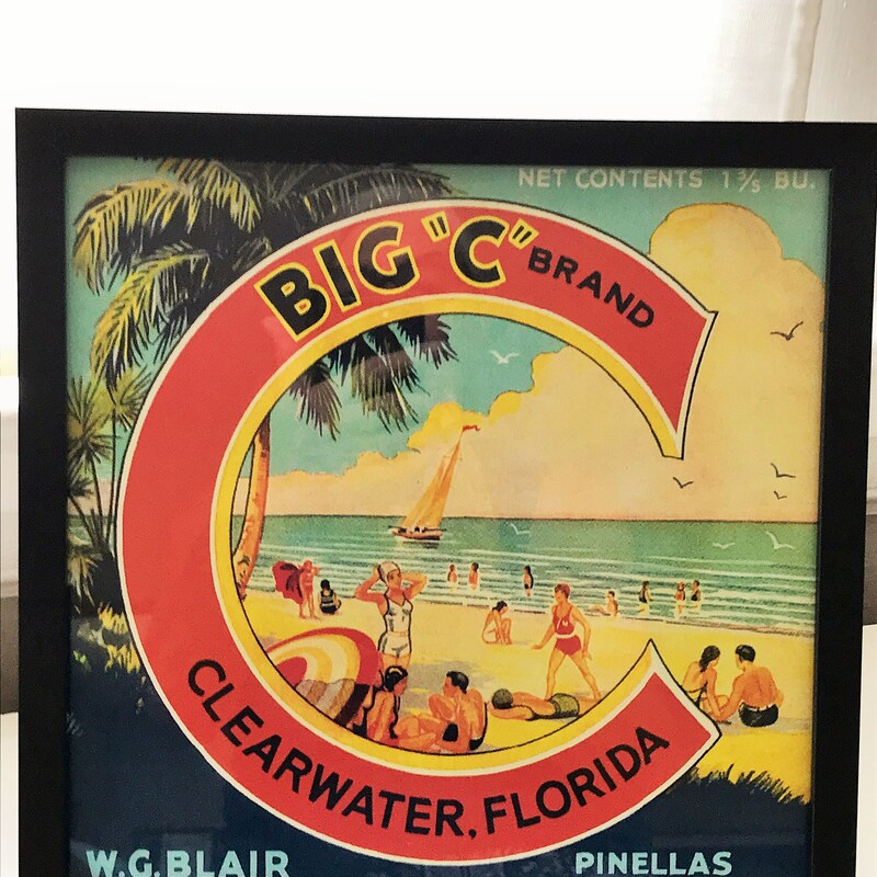 Florida Oranges - Etsy