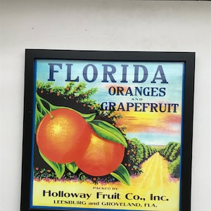 Vintage Florida Orange Crate Label Print/framed/oranges & Grapefruit ...