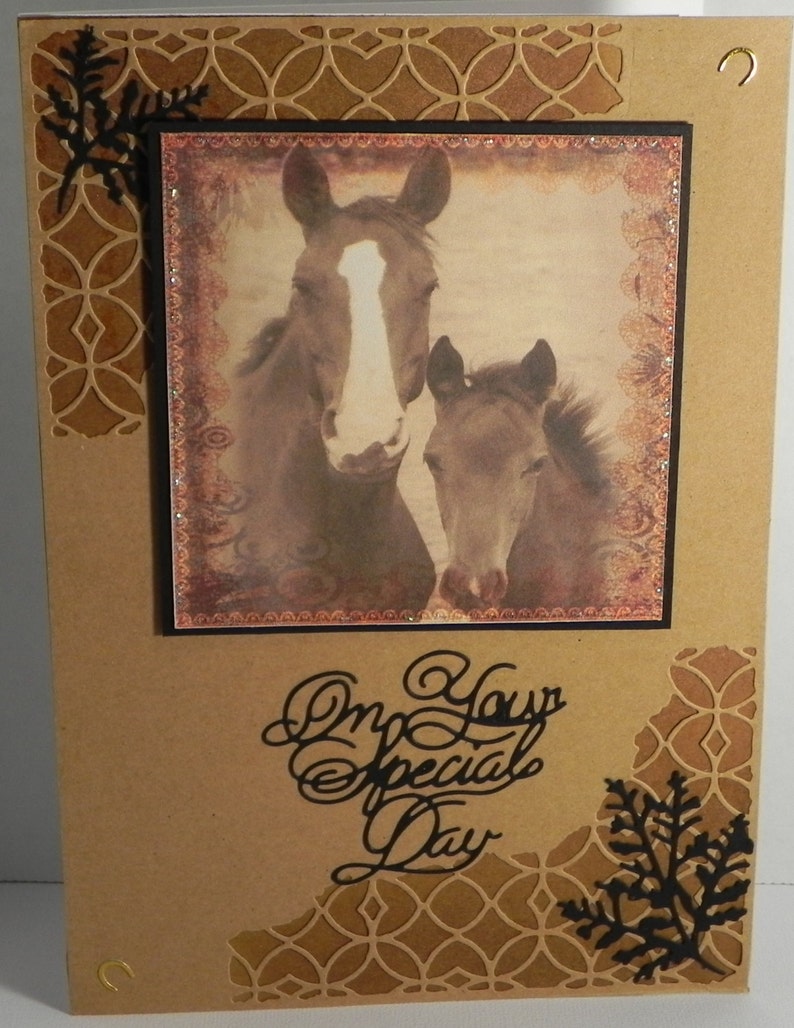 Horse and Colt on Your Special Day Card With Matching Gift Tag ...