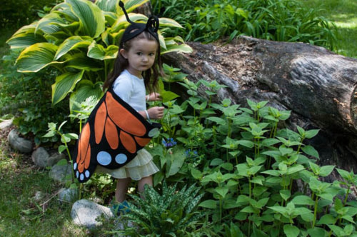 Monarch Costume Set Costume Wings and Mask Eco Friendly | Etsy