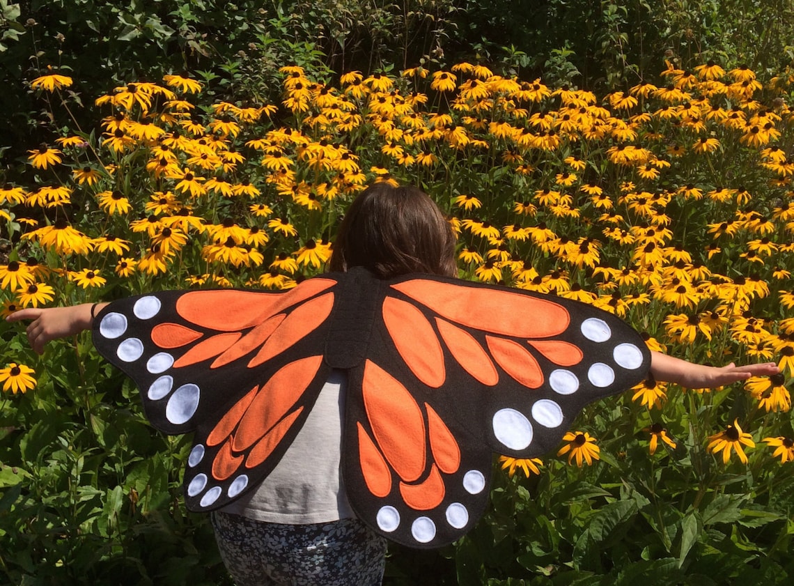 Butterfly Costume Wings / Blue Butterfly / Pink Butterfly / - Etsy