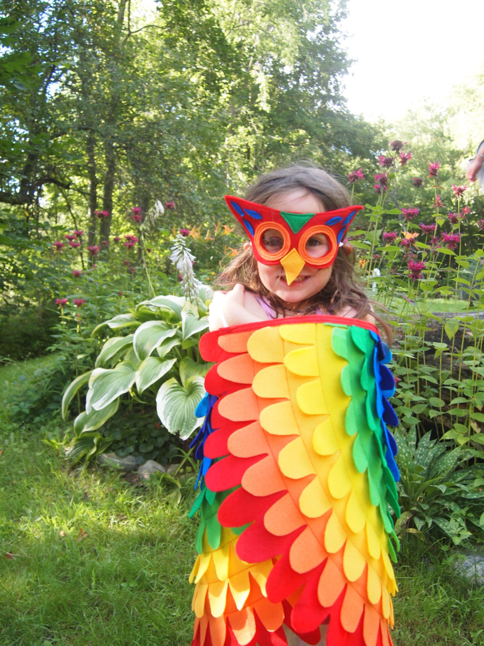 Red Rainbow Owl Costume Set / Owl Mask and Flappable Wings / Kids Owl ...