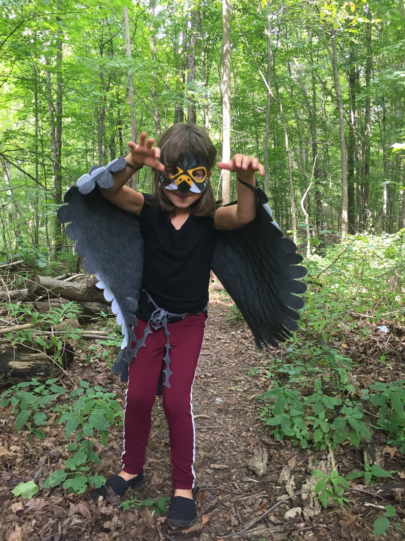 Falcon Costume Set 3 Piece / Fierce Mask, Tail and Fast Wings ...