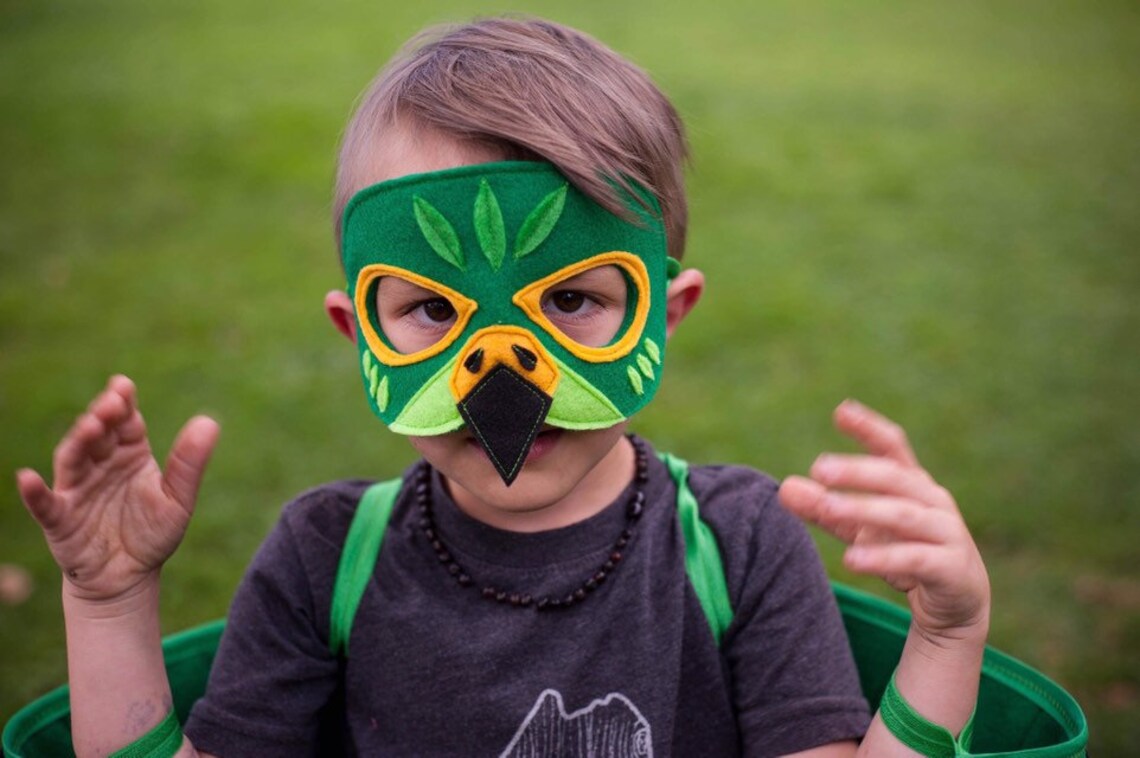 Falcon Costume Green Falcon Blue Falcon Wild Kratts Gift - Etsy