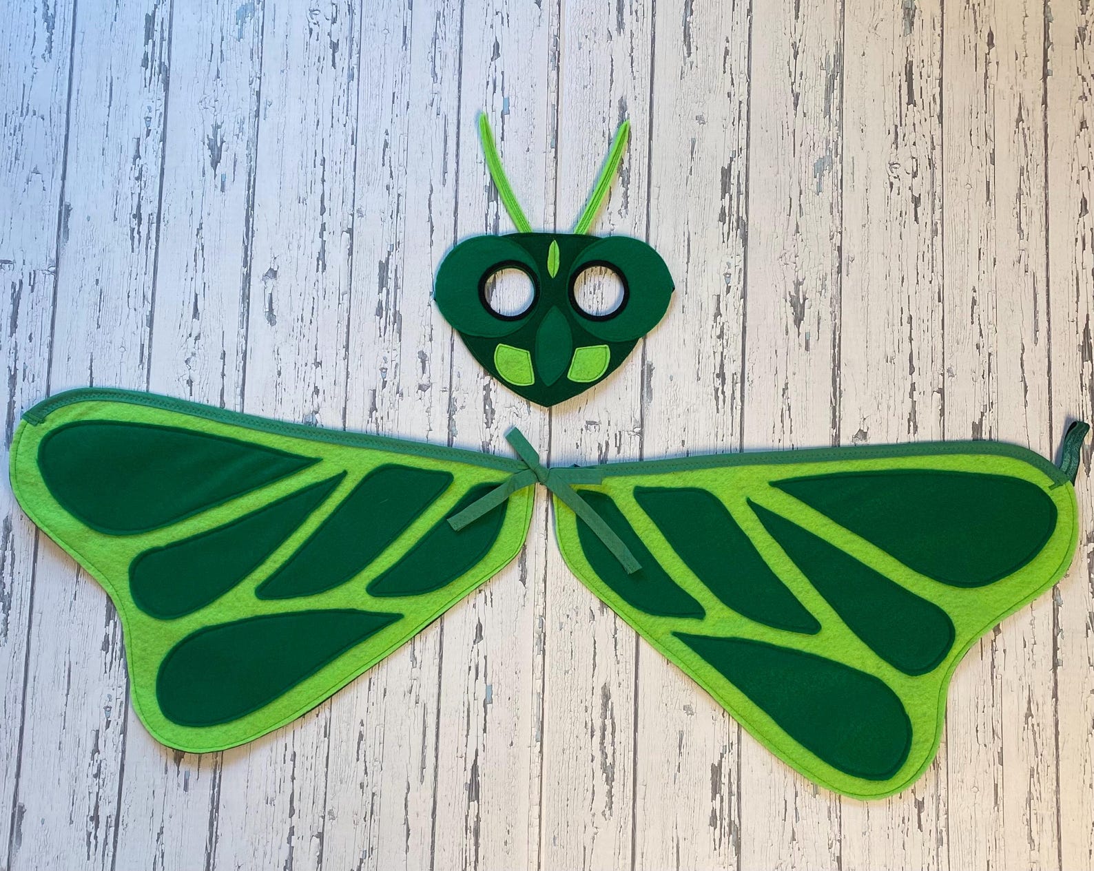 Bug Costume / Insect Costume / Wings and Mask Set / Fits 3-8 Years ...
