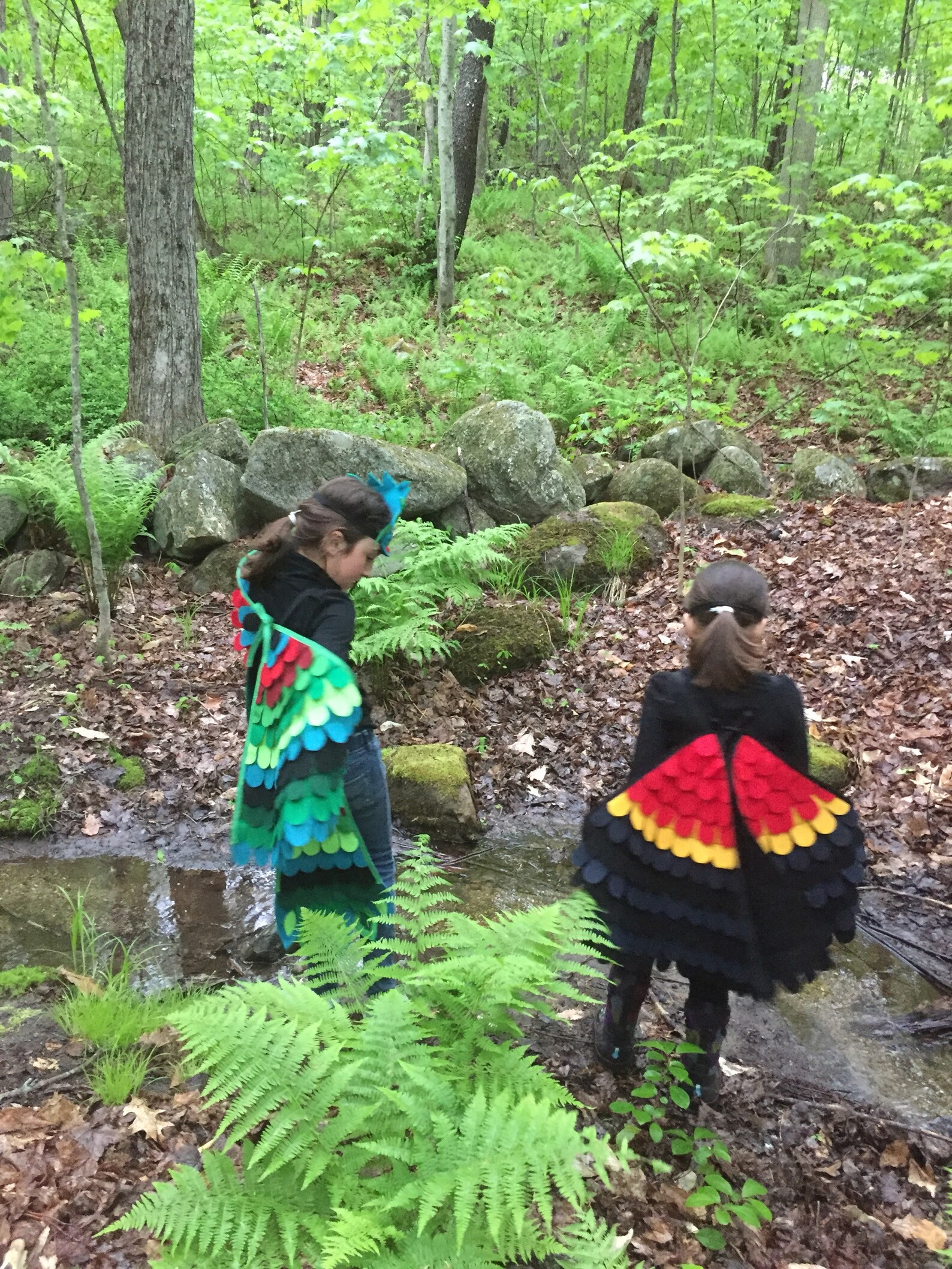 Red-winged Blackbird Costume / Red Wing Black Bird / Mask and Wings ...