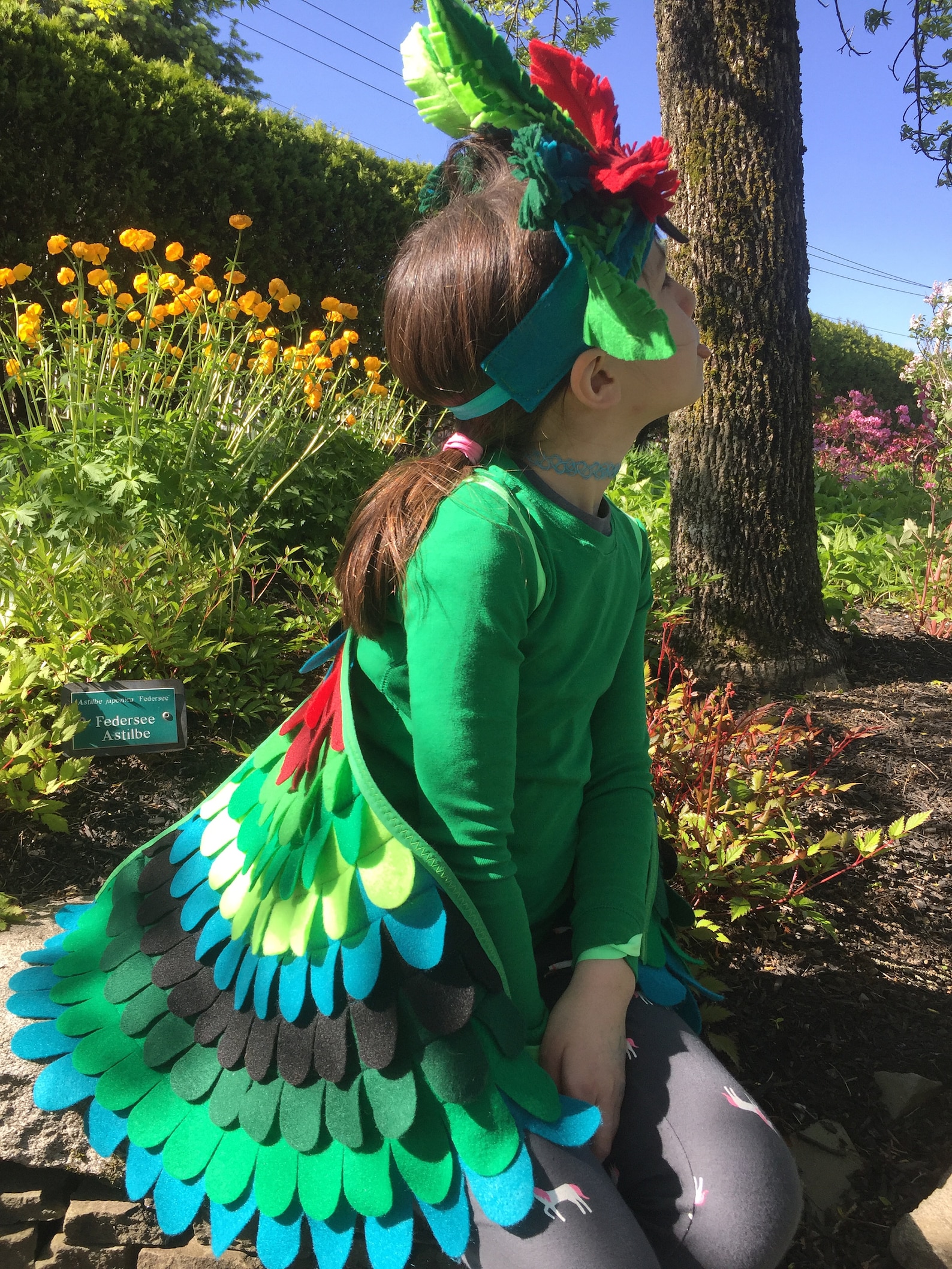 Magical Hummingbird Costume // Wings and Crown // Handmade | Etsy