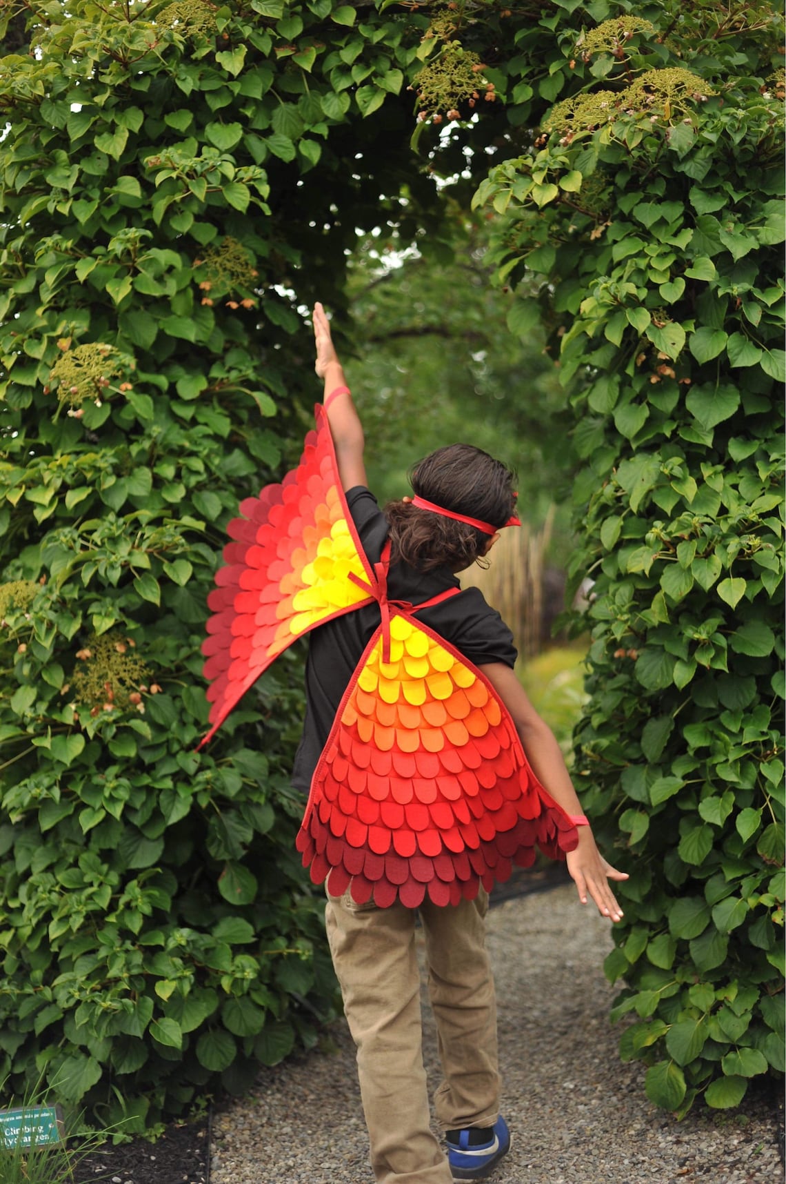 Phoenix Costume Wings / Fly Like a Phoenix / Soft Fun - Etsy