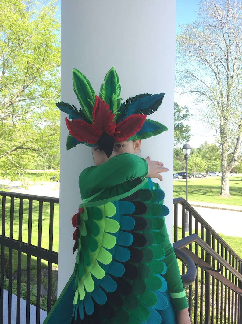 Magical Hummingbird Costume // Wings and Crown // Handmade | Etsy