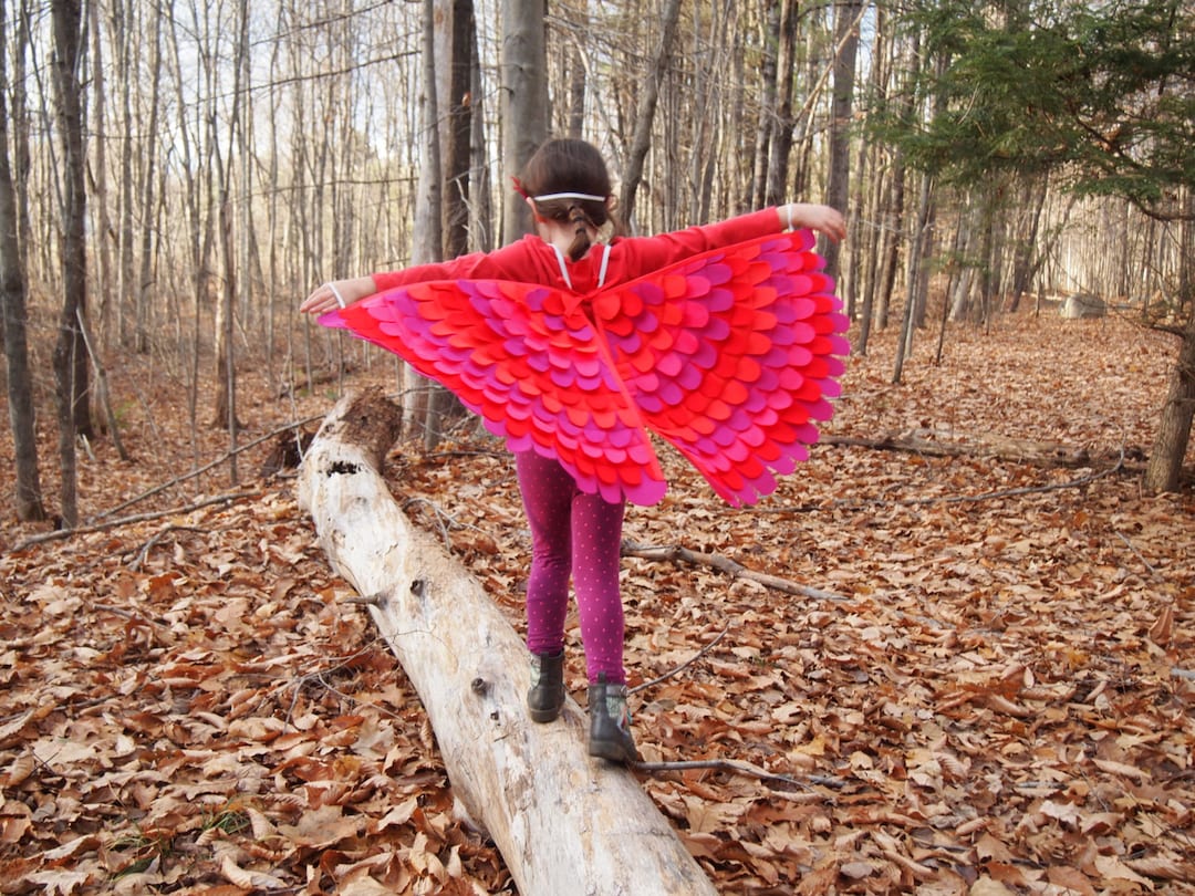 Pink and Red Costume Wings / Soft, Fun and Flappable / Available in ...