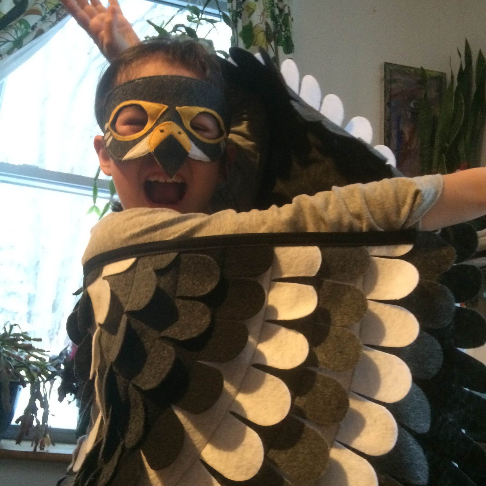 Falcon Costume Set / Wings and Mask / Peregrine Falcon Costume / Child ...