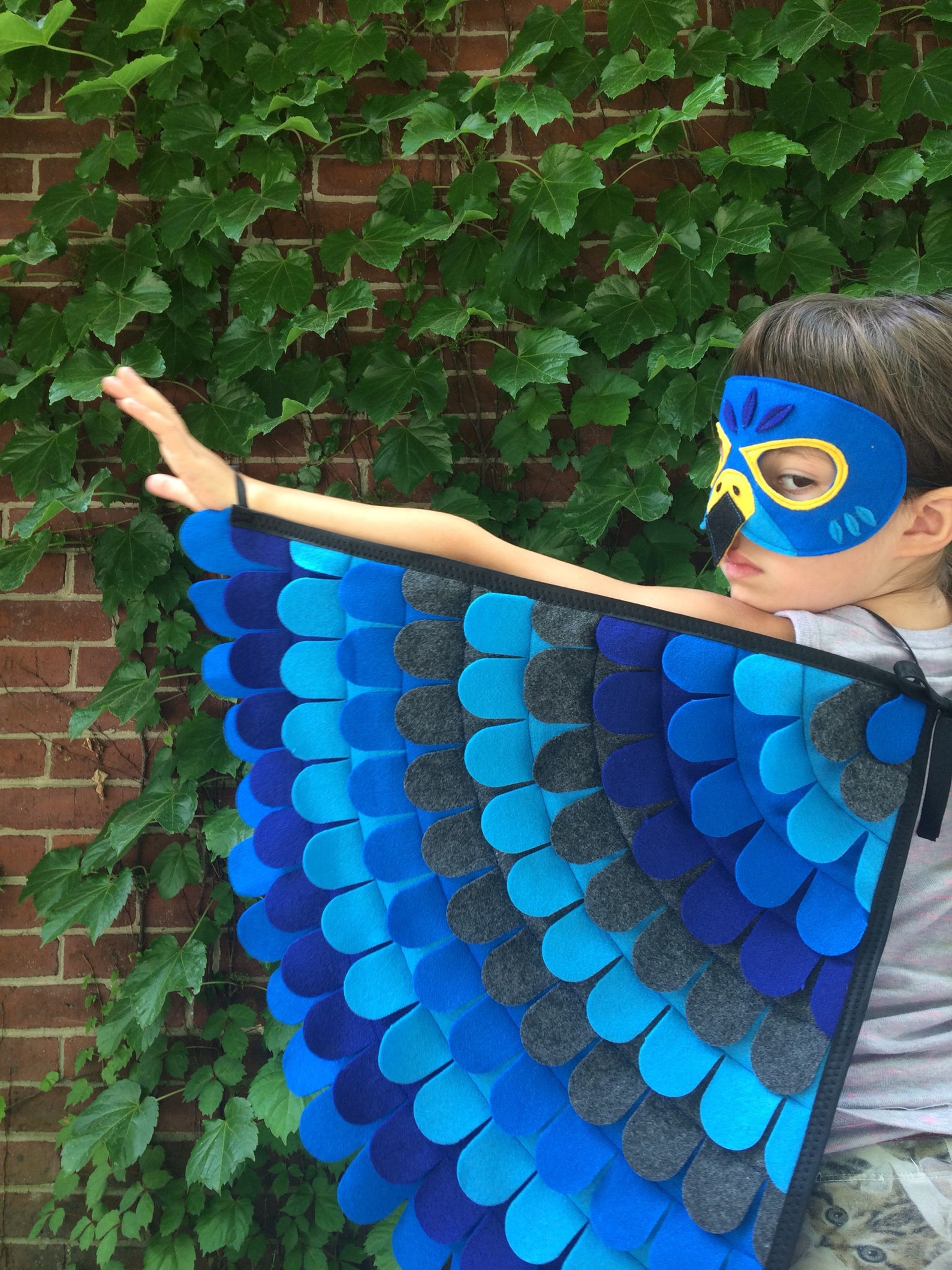 Falcon Costume Green Falcon Blue Falcon Wild Kratts Gift - Etsy