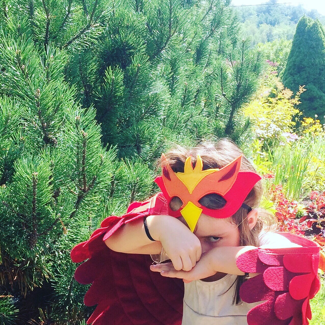 Phoenix Costume Set 3 Piece / Felt Mask Flappable Wings and - Etsy ...