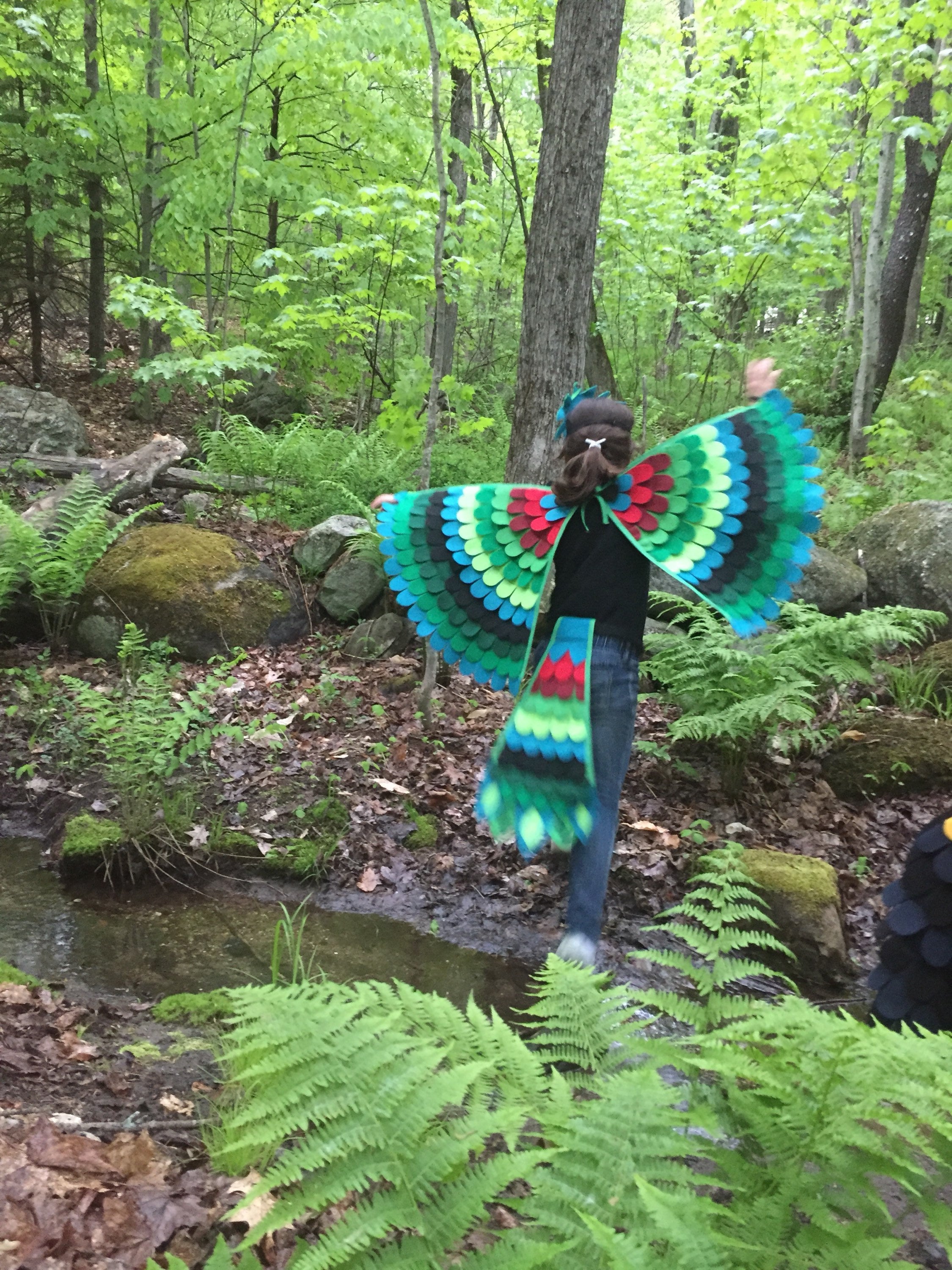 Hummingbird Costume // 3 Pc Set // Mask Wings & Tail // - Etsy Canada