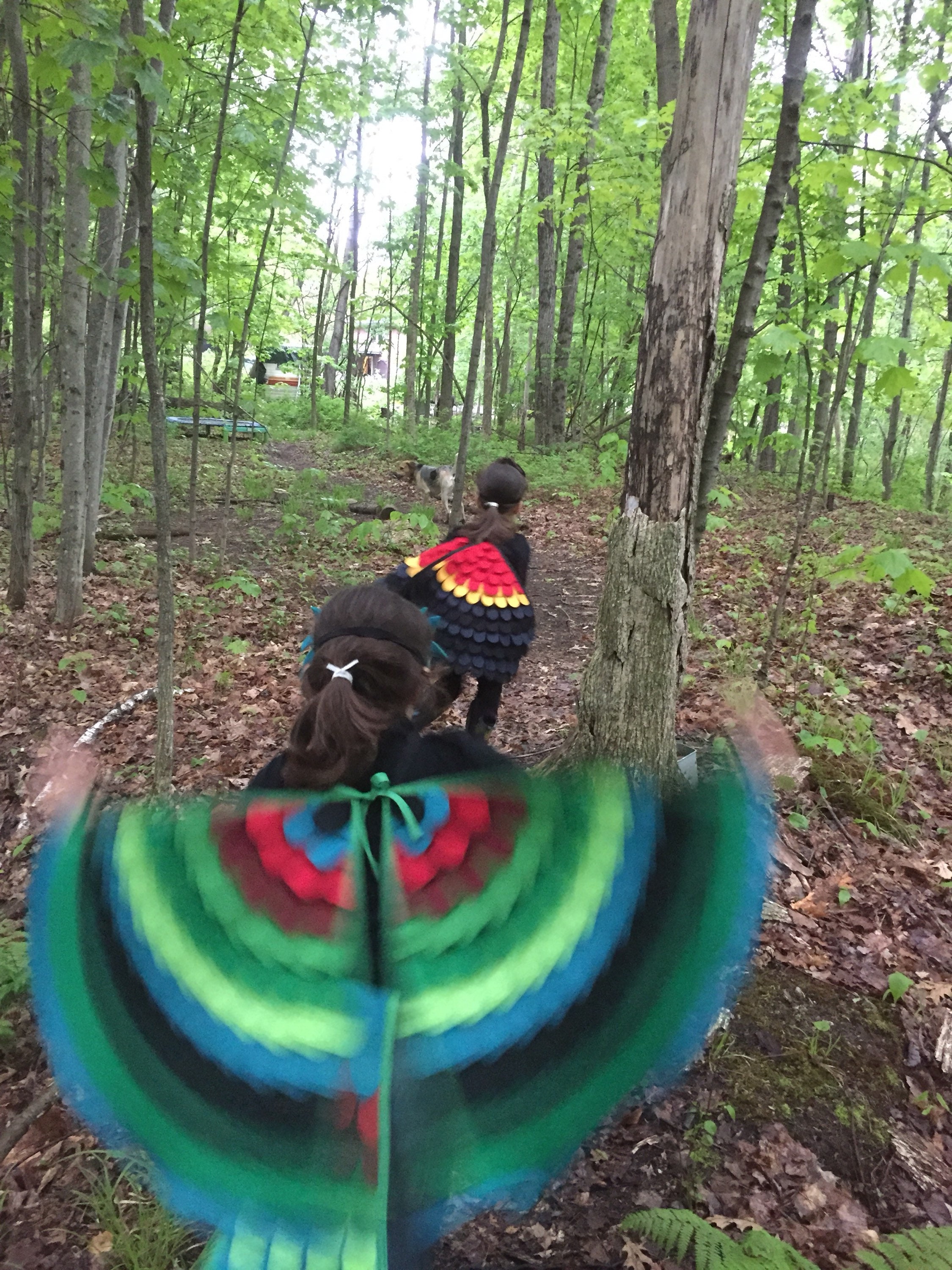 Hummingbird Costume // 3 Pc Set // Mask Wings & Tail // - Etsy Canada