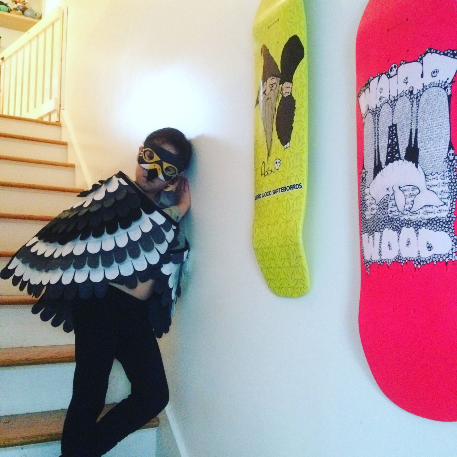 Falcon Costume Set / Wings and Mask / Peregrine Falcon Costume / Child ...